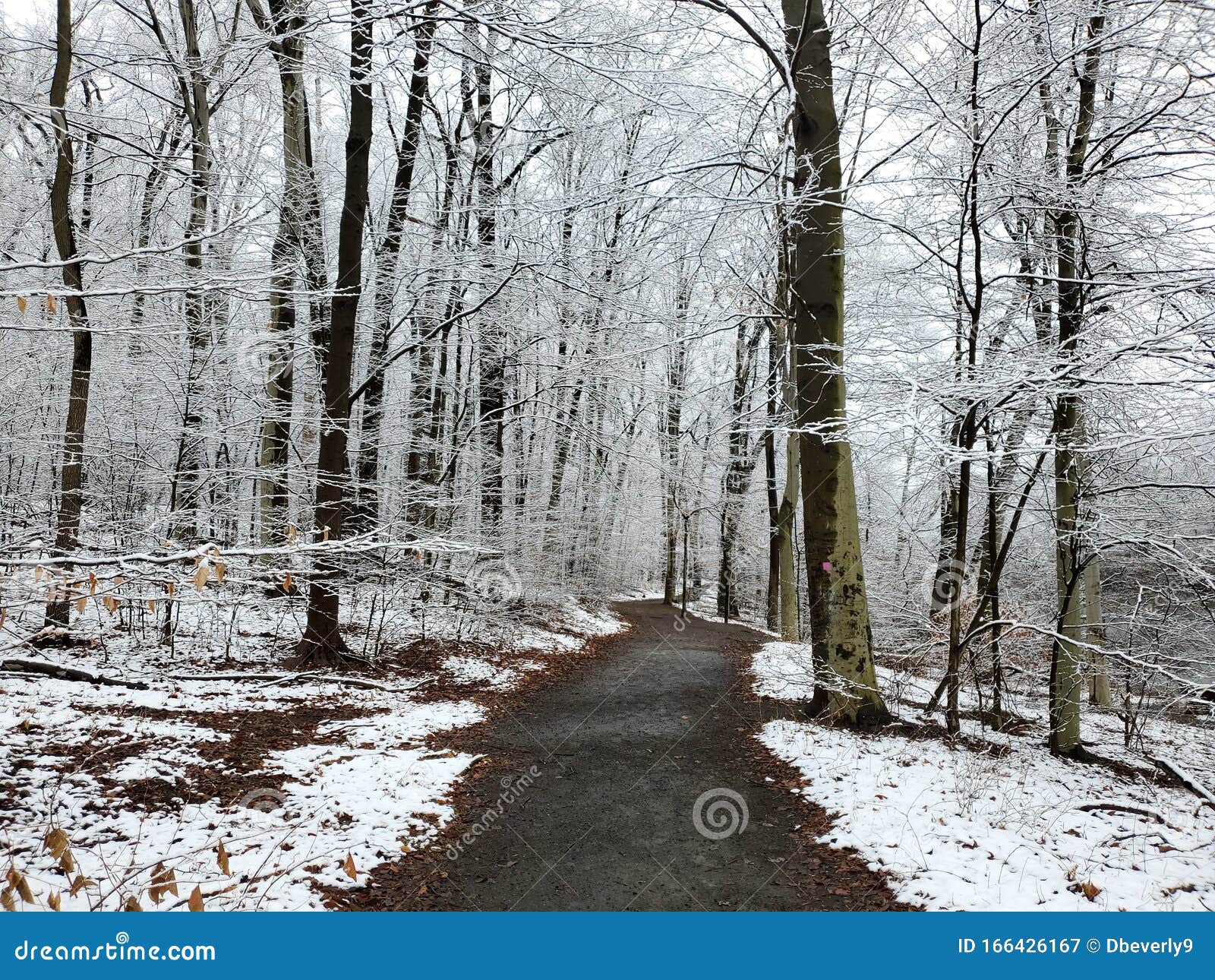Winter Path Park Snow Pathway Stock Image - Image of path, winter ...