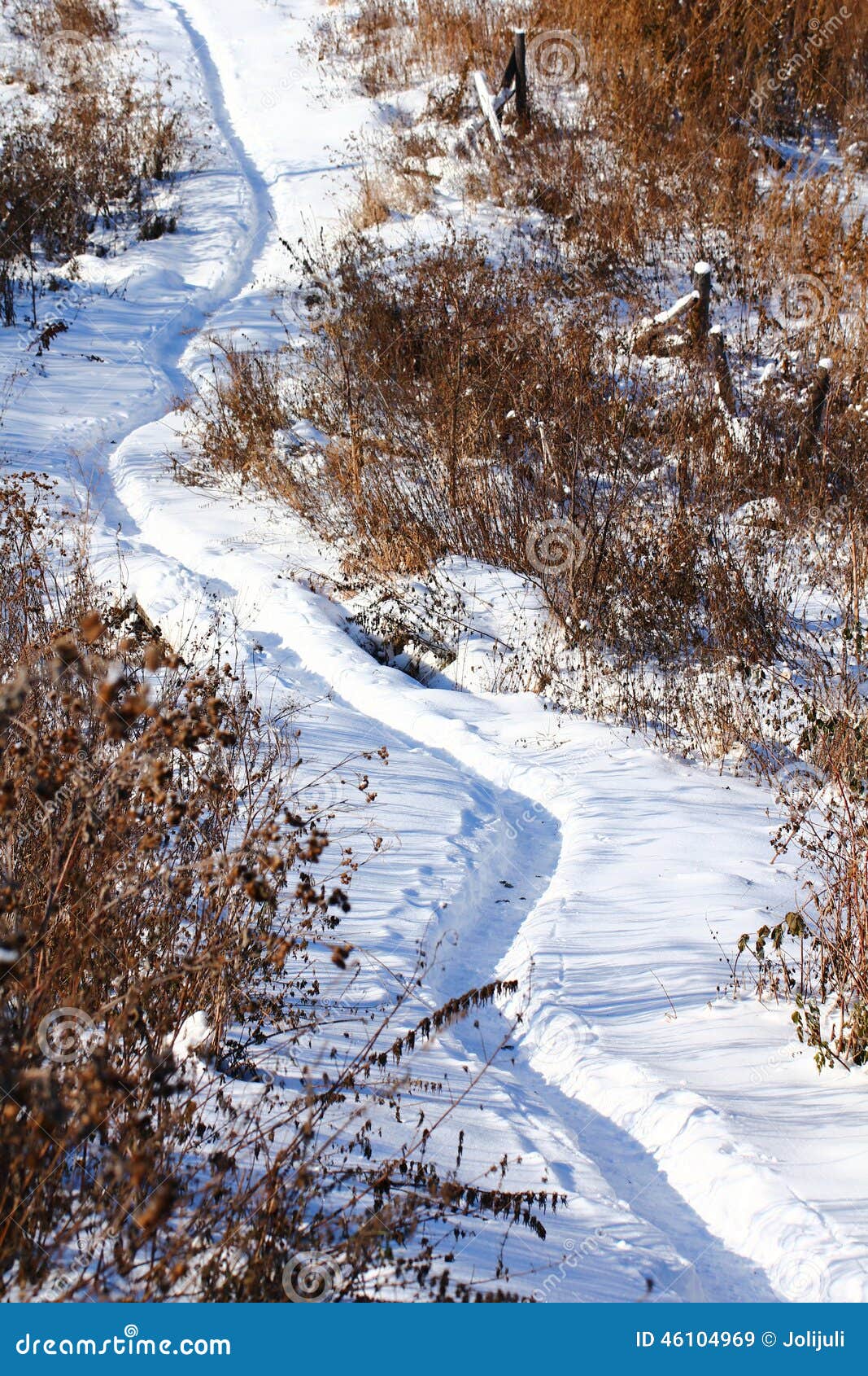 Winter path stock image. Image of winter, white, road - 46104969