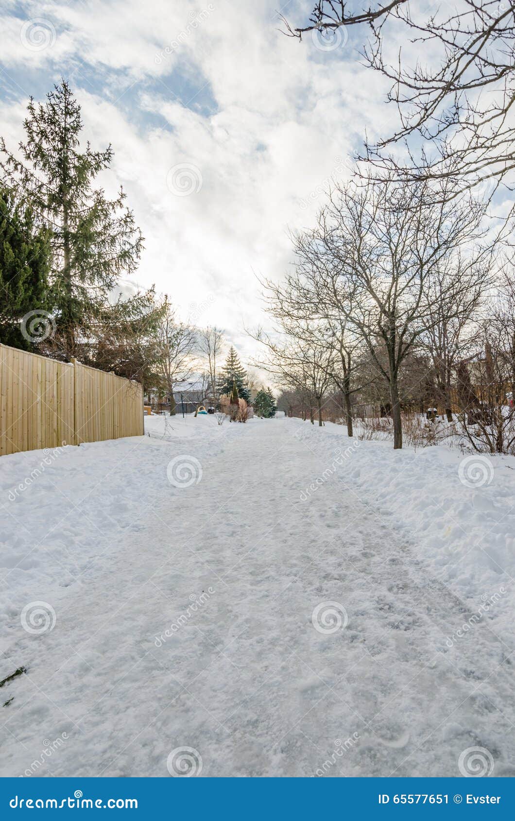 Winter Path stock image. Image of clouds, freezing, hike - 65577651