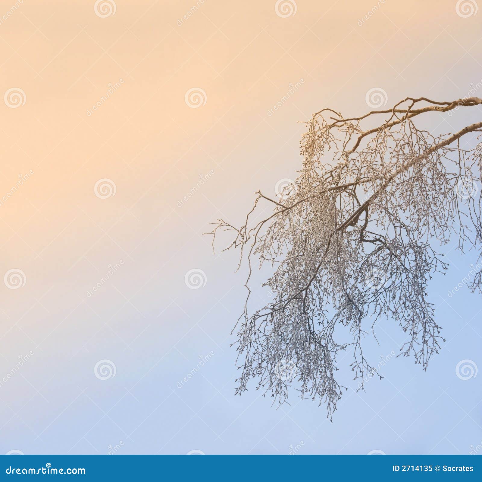 Winter peace stock image. Image of nature, mist, crisp - 2714135