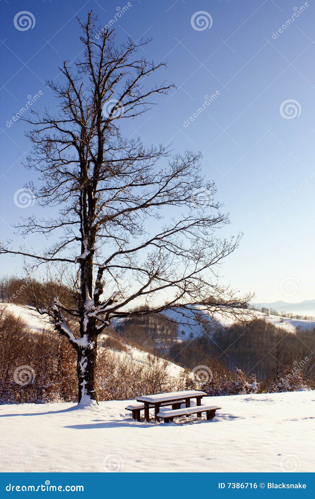 Winter Peaceful Snowy Place Stock Photo - Image of peace, weather: 7386716
