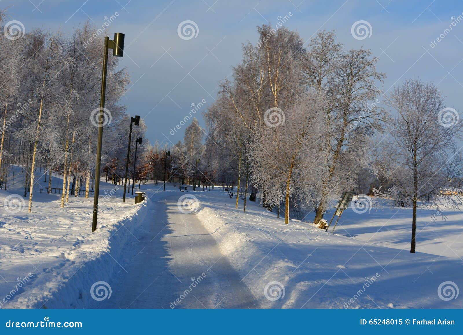 Winter stock image. Image of winter, color, evening, sweden - 65248015