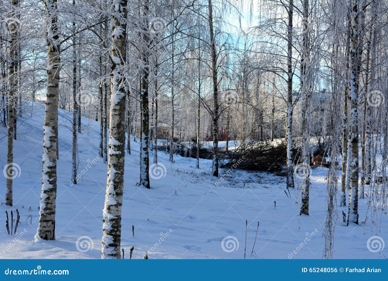 Winter stock photo. Image of winter, snow, happy, colorful - 65248056