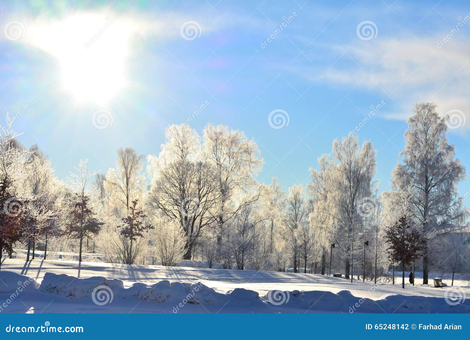 Winter stock photo. Image of snow, colorful, sweden, bakgrund - 65248142