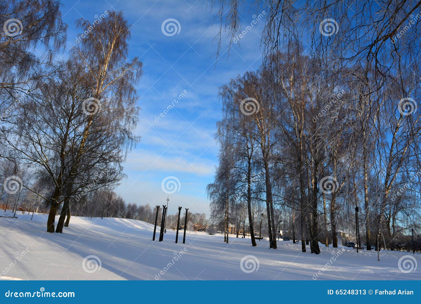 Winter stock image. Image of sweden, landscape, relax - 65248313