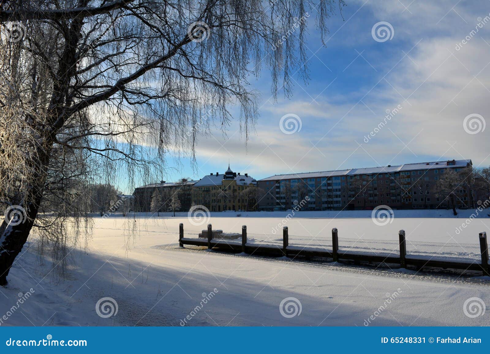 Winter stock image. Image of snow, beautiful, evening - 65248331
