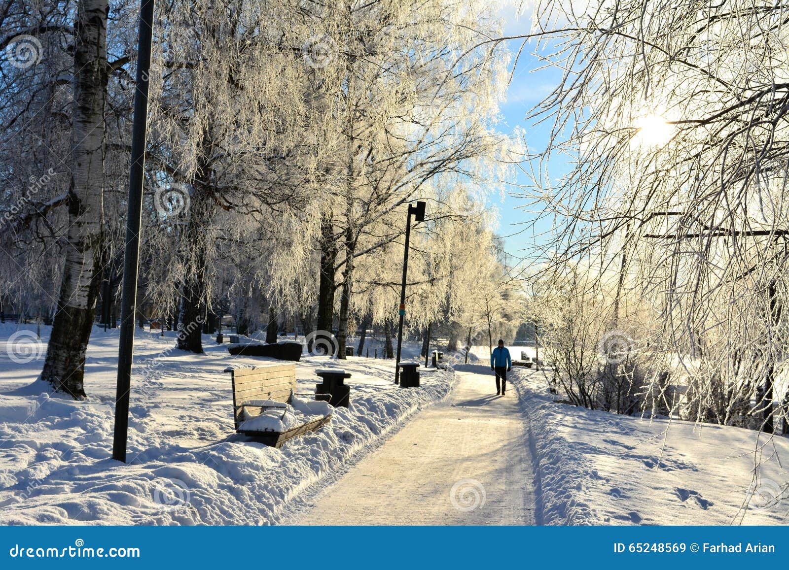 Winter stock image. Image of bakgrund, winter, relax - 65248569
