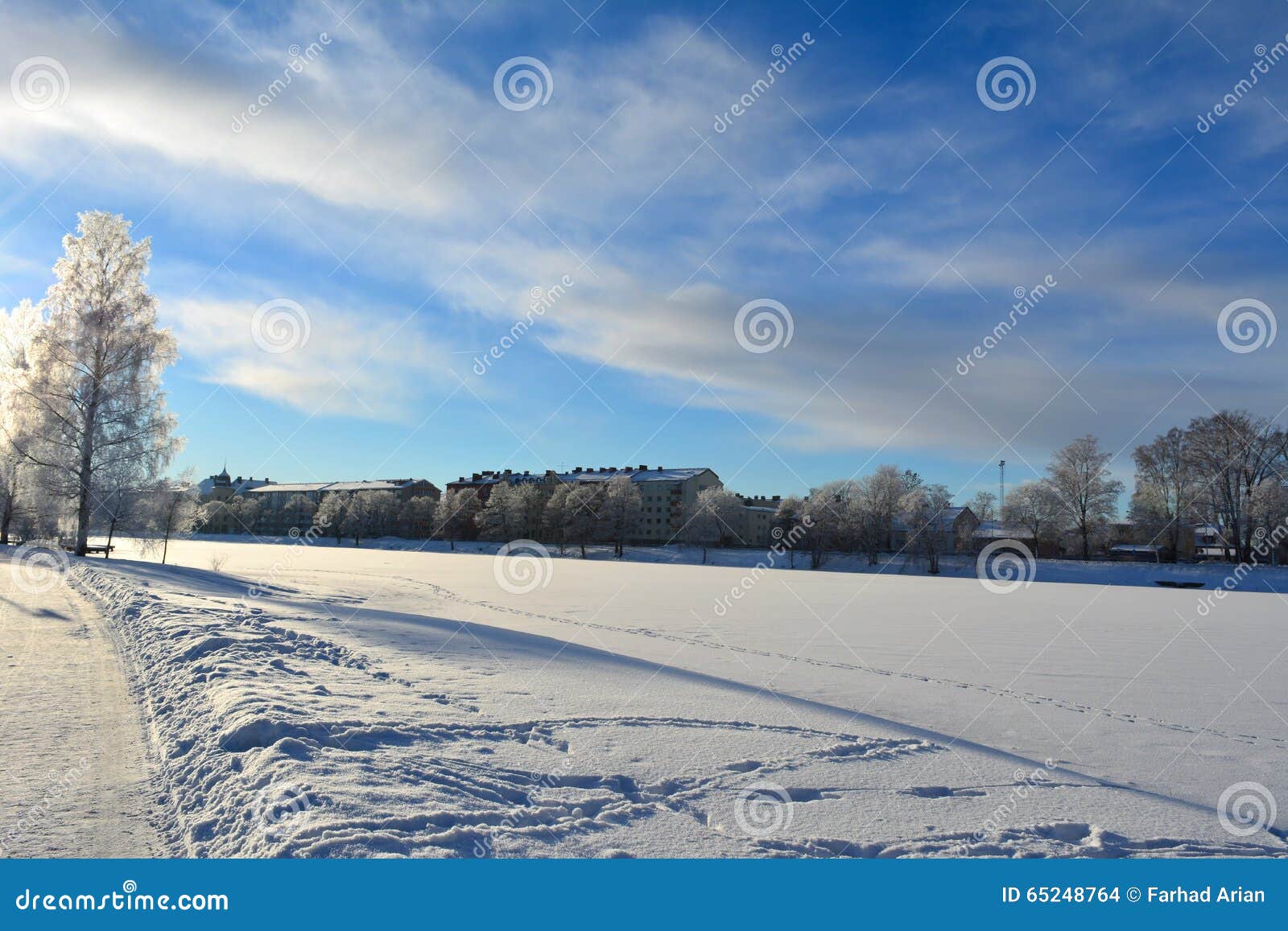 Winter stock photo. Image of relax, beautiful, winter - 65248764