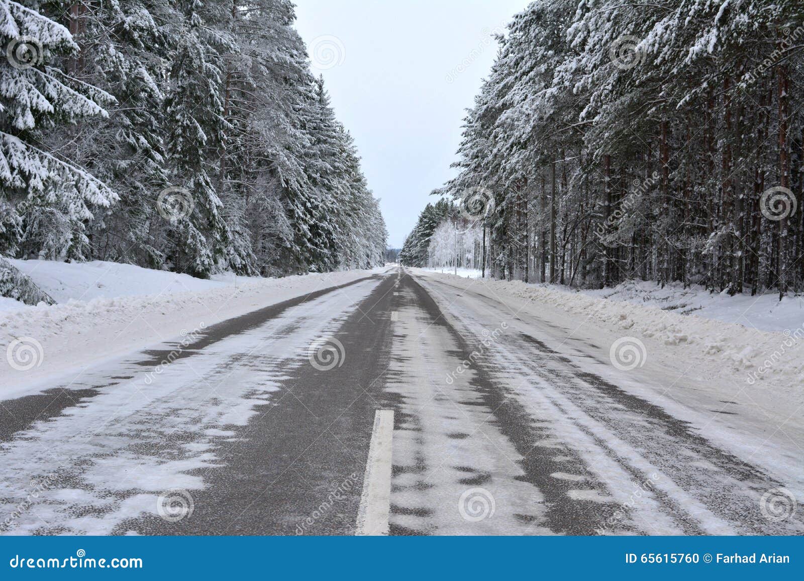 Winter stock photo. Image of colorful, landscape, snow - 65615760
