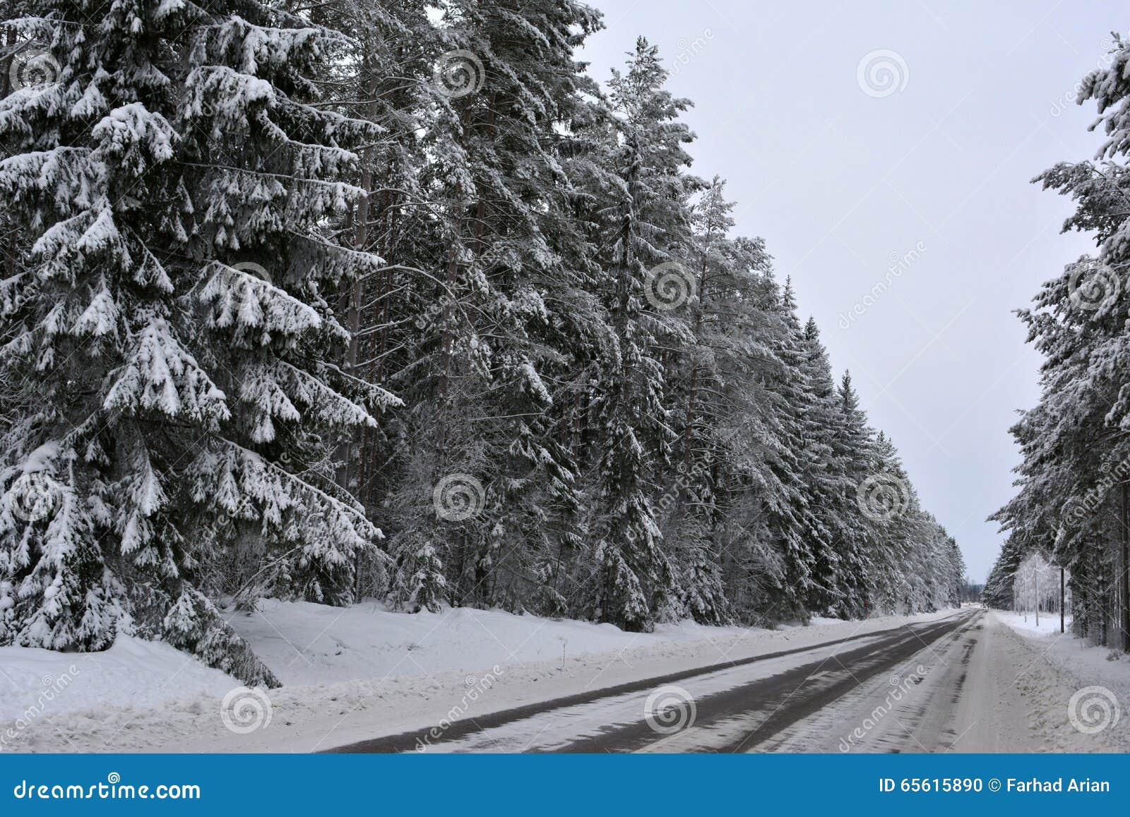 Winter stock photo. Image of happy, karlstad, beautiful - 65615890