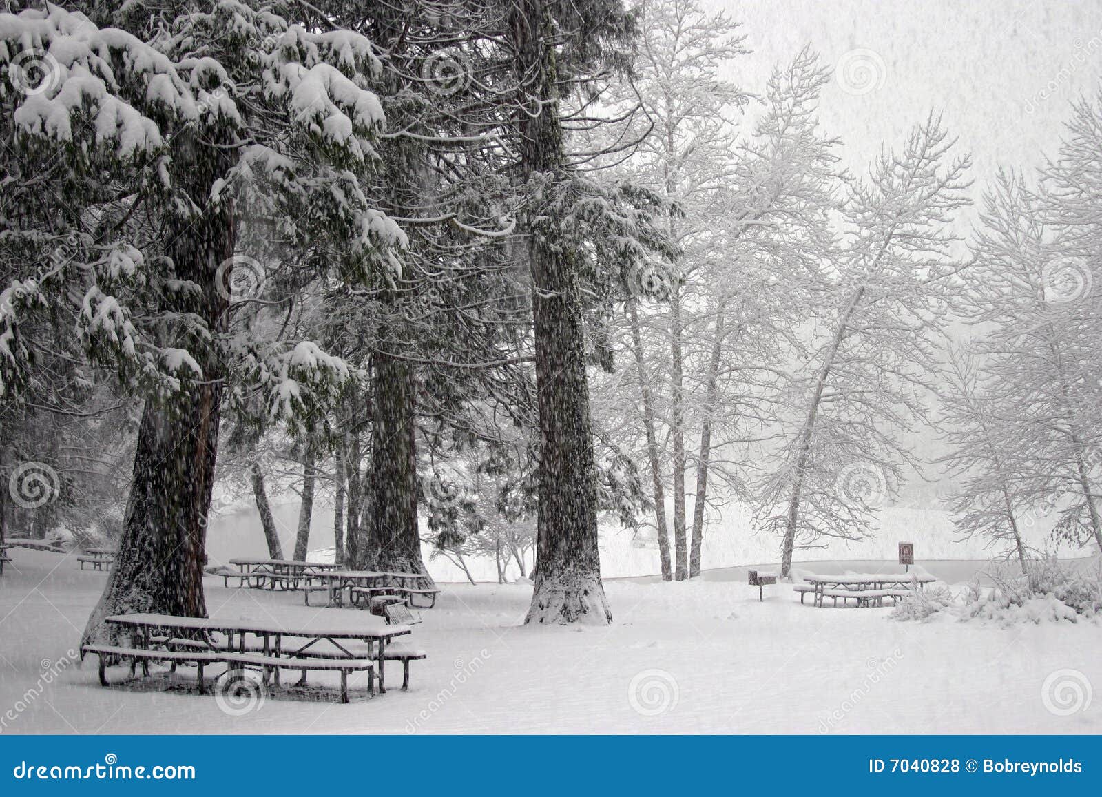 Winter Picnic stock photo. Image of gift, merry, peace - 7040828