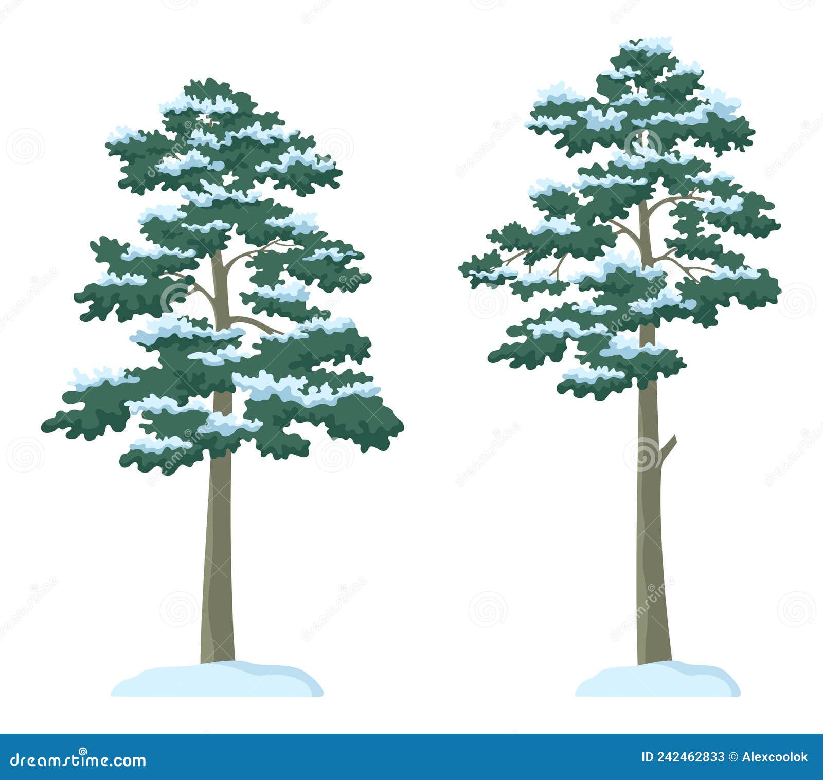 Winter Pine Trees stock vector. Illustration of plant - 242462833