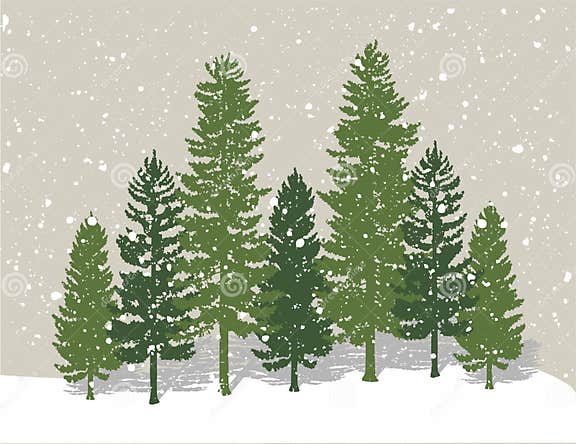 Winter pine trees stock vector. Illustration of winter - 71847315
