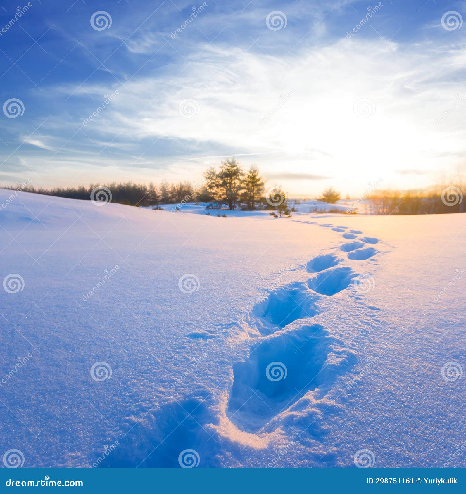 Winter Plain with Human Track at the Dramatic Sunset Stock Image ...