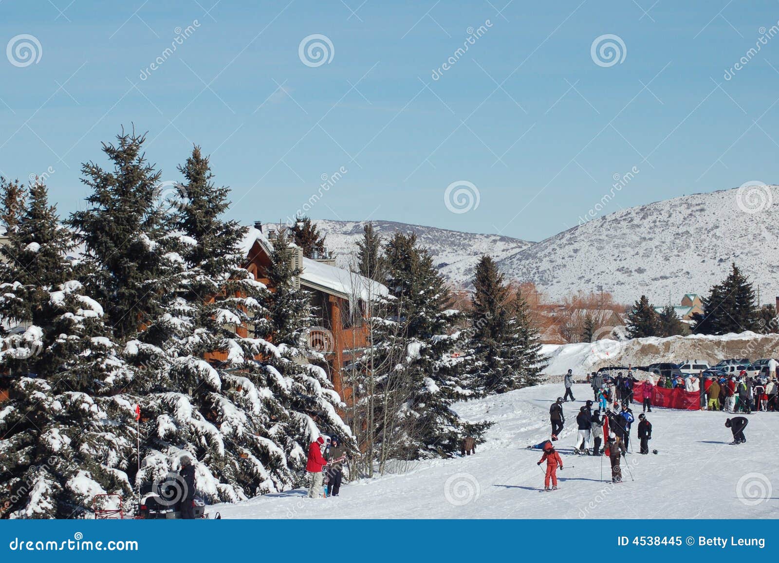 Winter Playground stock image. Image of gray, vacation - 4538445