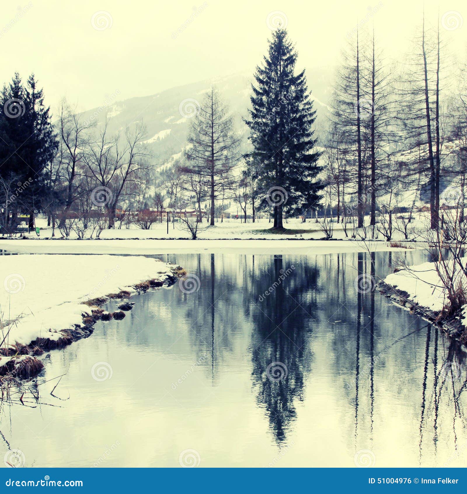 Winter pond stock photo. Image of reflection, scene, cold - 51004976