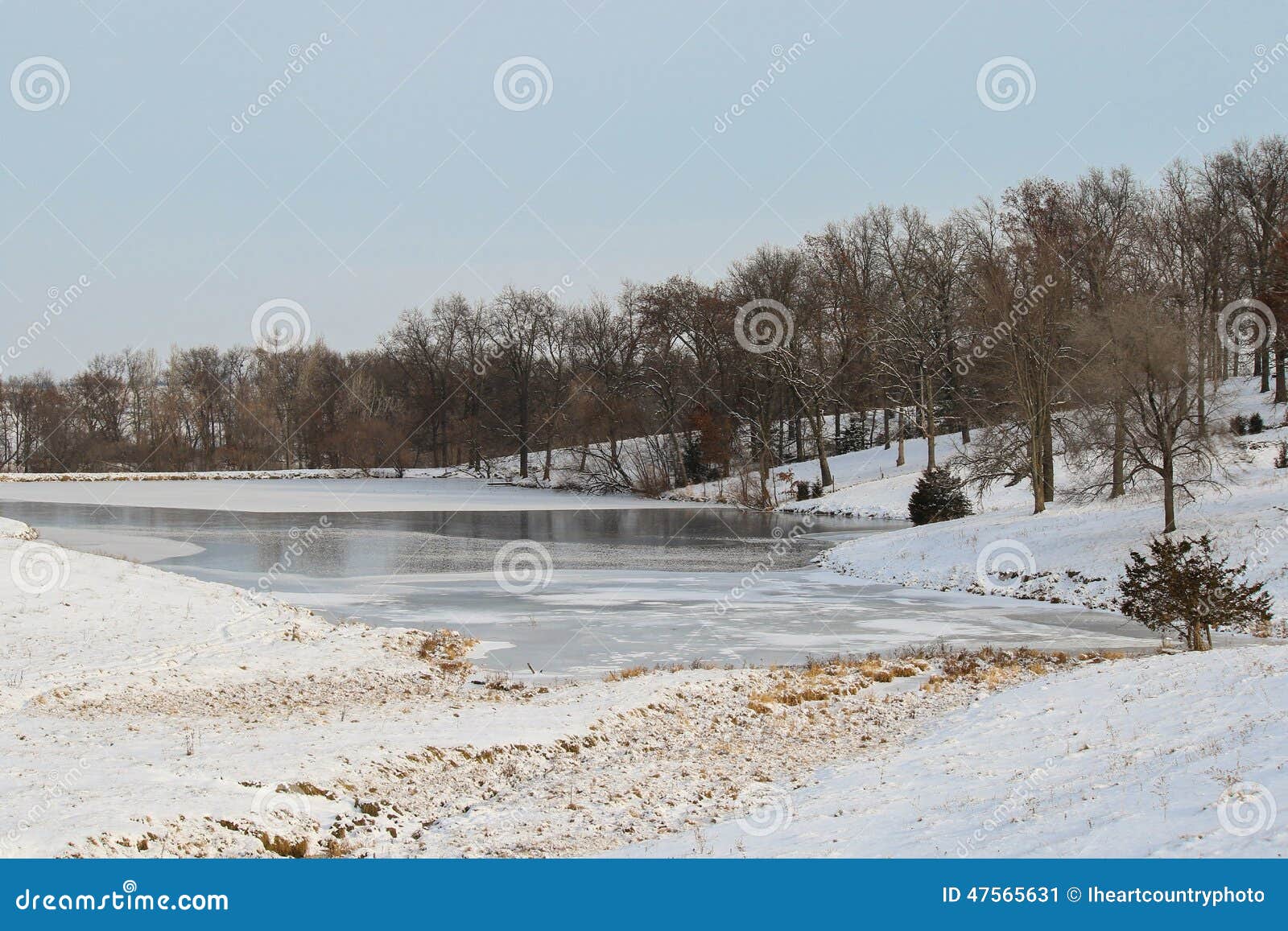Winter Pond stock image. Image of snowfall, pond, trees - 47565631