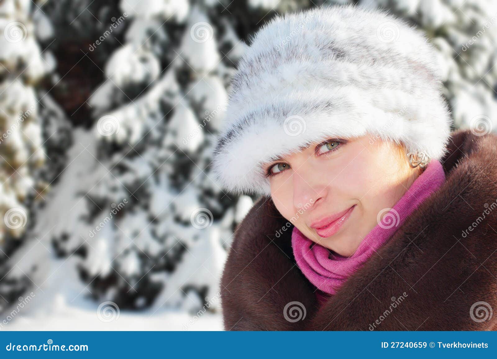 Winter portrait stock image. Image of clothes, frost - 27240659