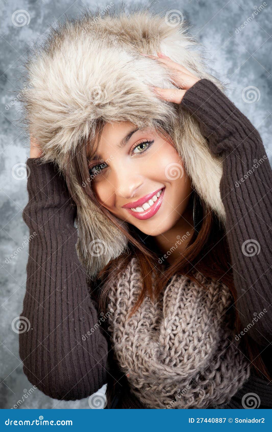 Winter portrait stock image. Image of forest, space, copy - 27440887