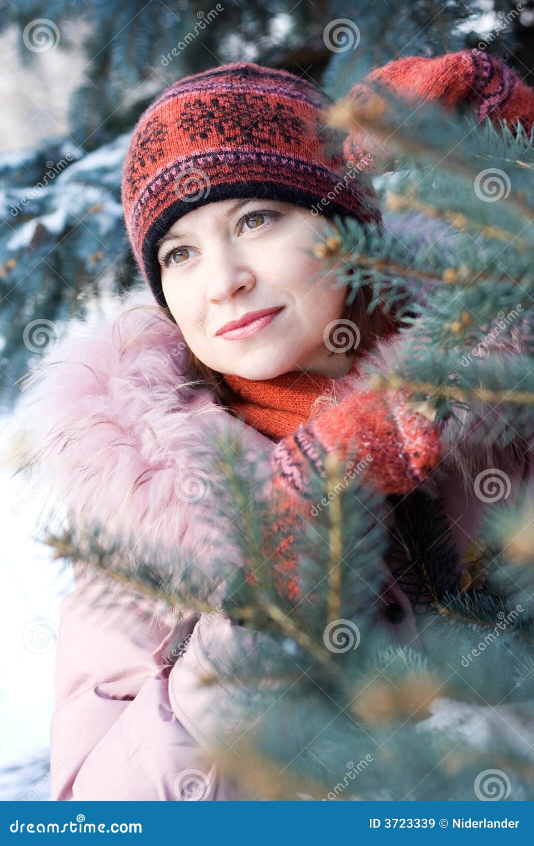 Winter portrait of girl stock image. Image of woman, young - 3723339