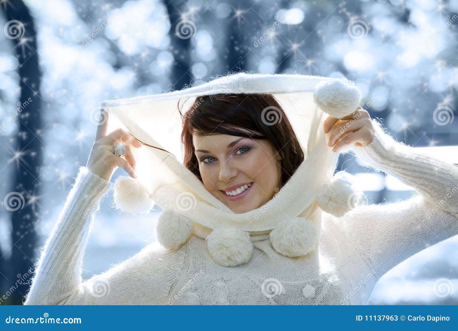 Winter portrait with snow stock image. Image of december - 11137963