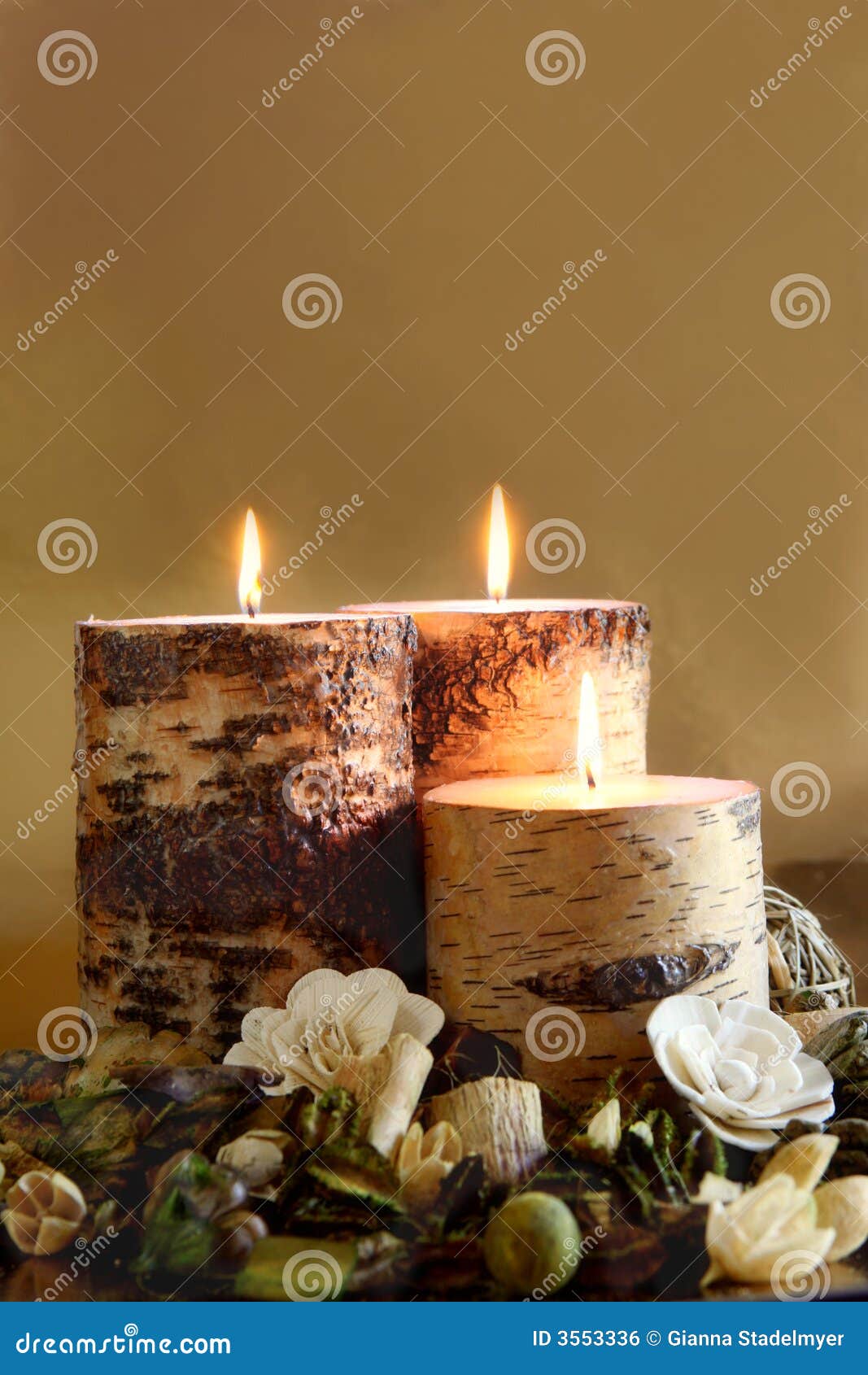 Winter Potpourri Vertical stock photo. Image of cones - 3553336