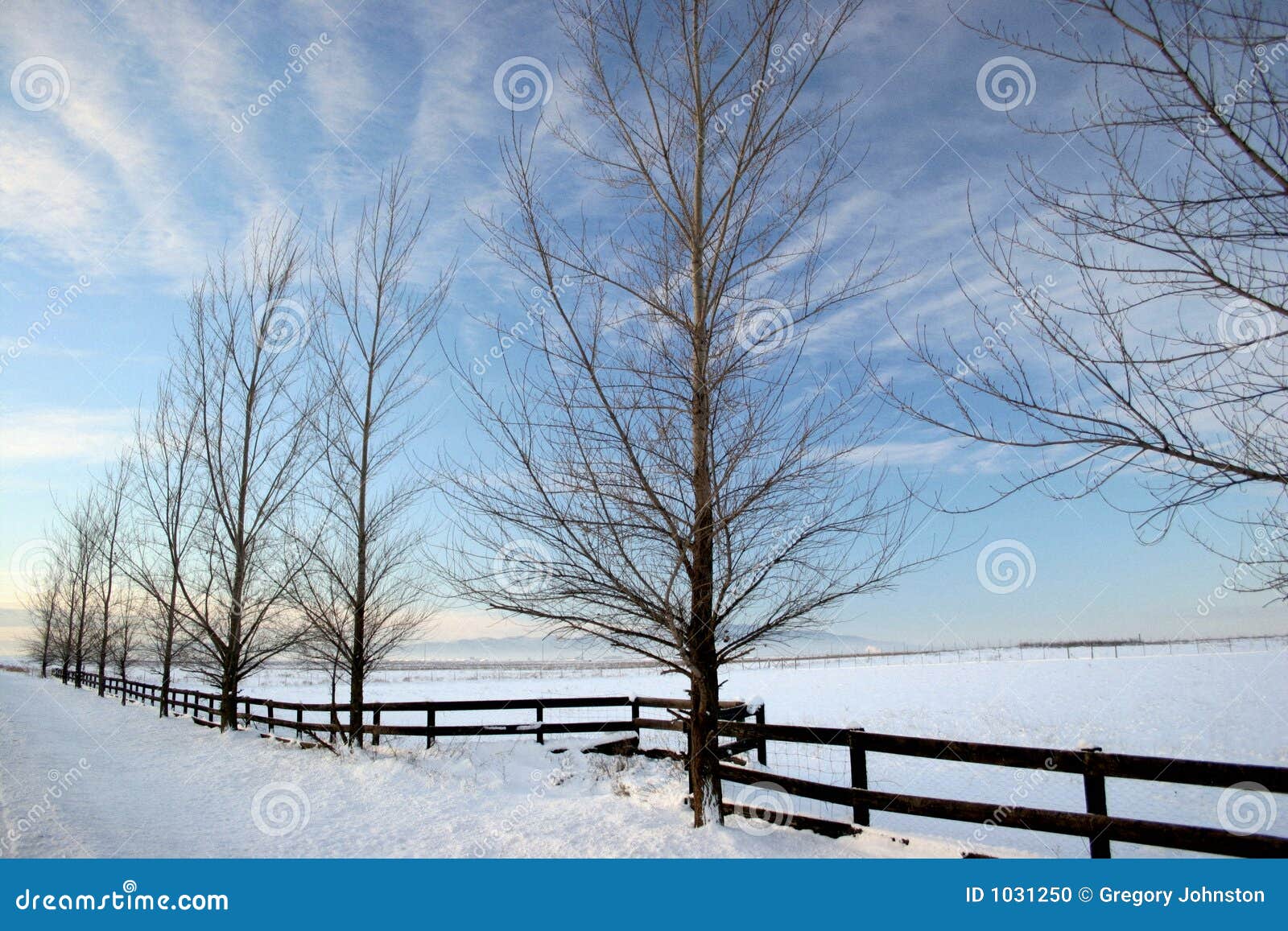 Winter on the Prairie stock photo. Image of tree, prairie - 1031250