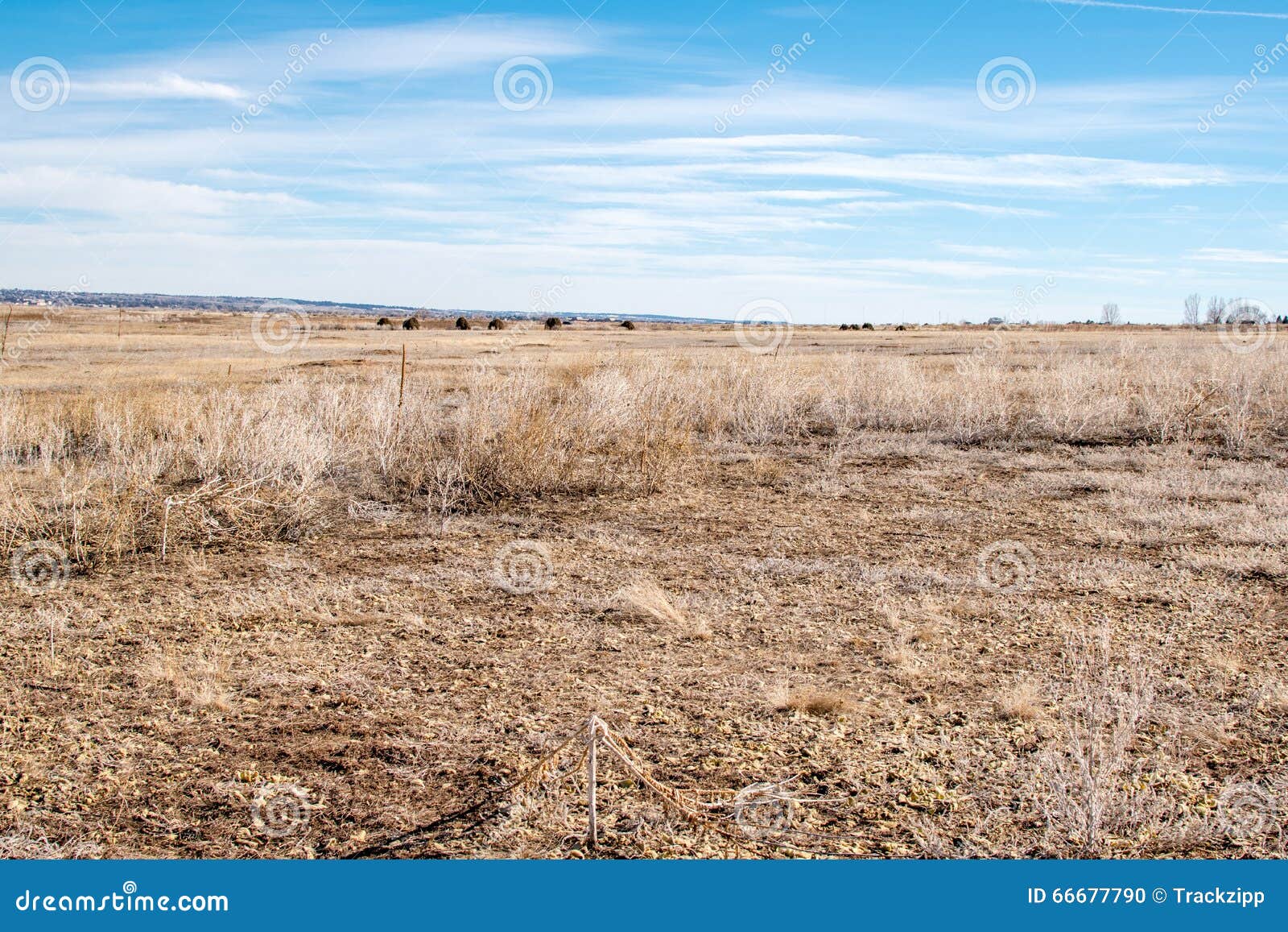 Winter on the Prairie stock photo. Image of grassland - 66677790