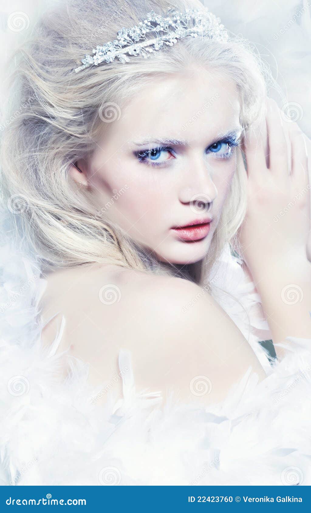 Winter queen stock photo. Image of adult, frost, holiday - 22423760