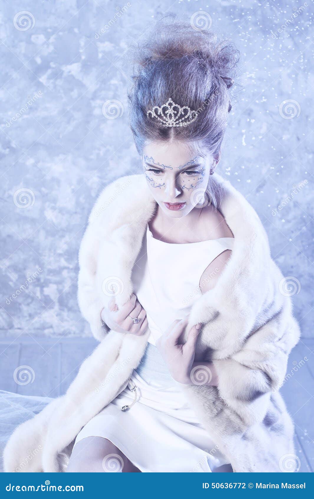 Winter Queen stock photo. Image of nature, christmas - 50636772