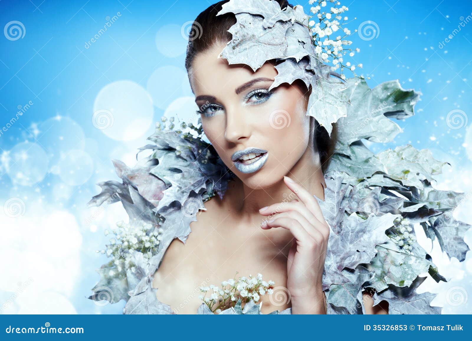 Winter Queen stock image. Image of makeup, dreamy, cold - 35326853
