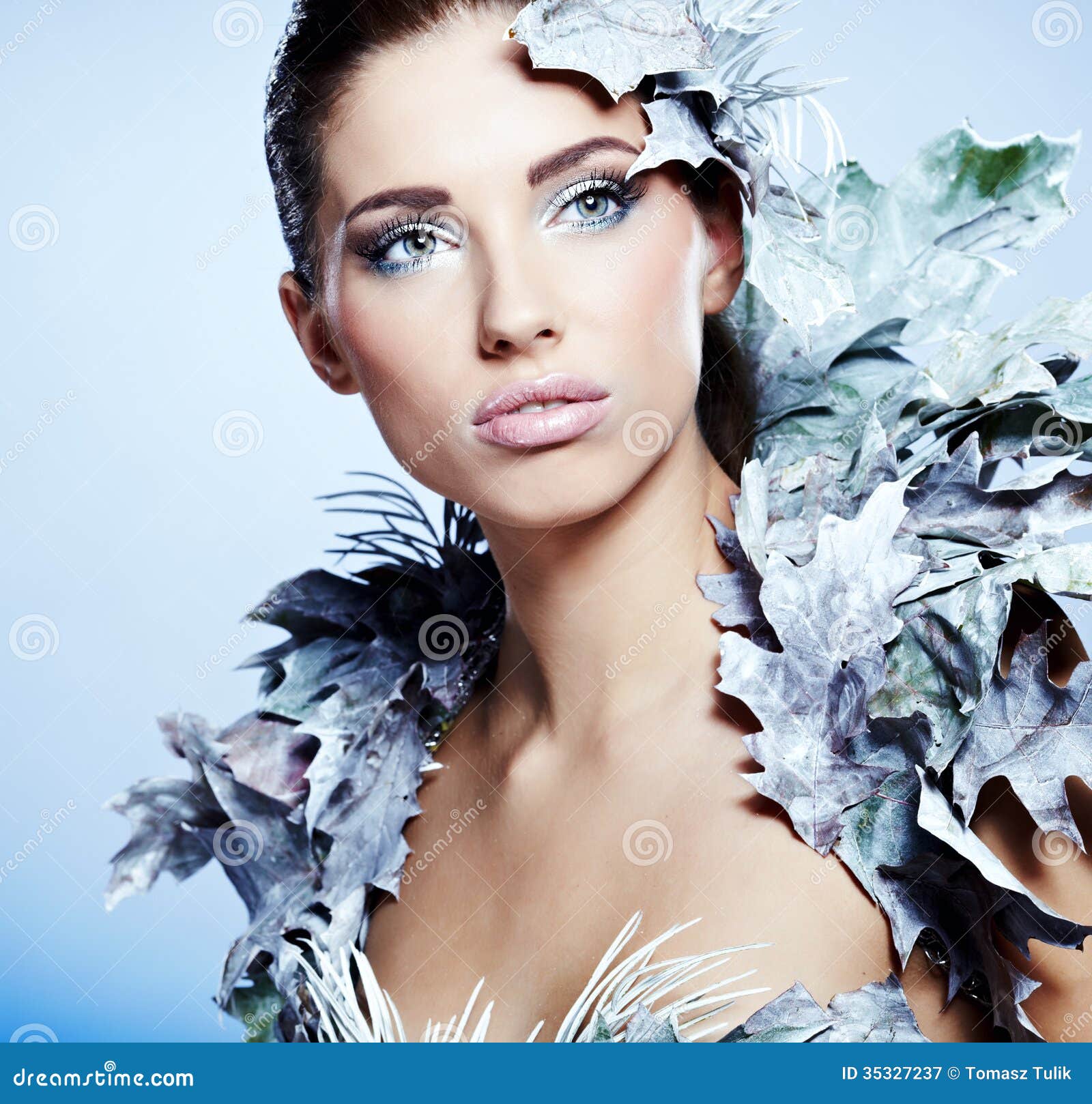 Winter Queen stock image. Image of female, december, dreamy - 35327237