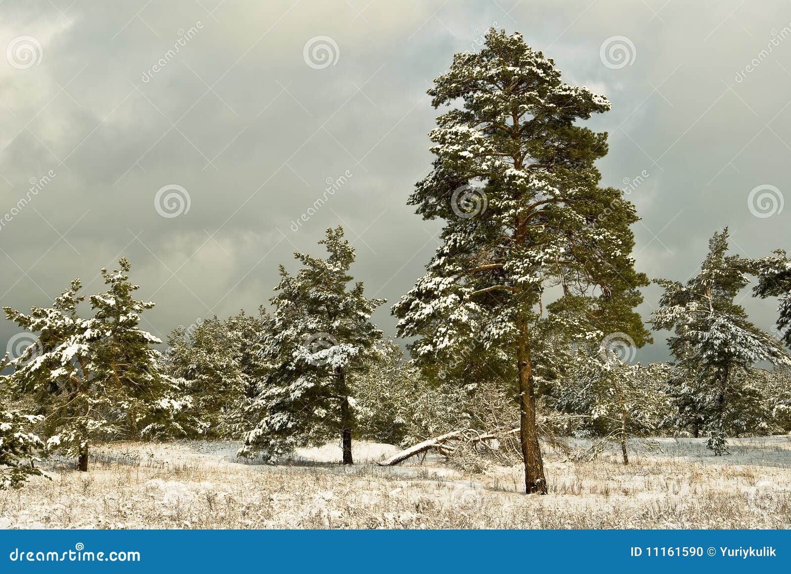 Winter quiet stock photo. Image of cloudscape, panoramic - 11161590