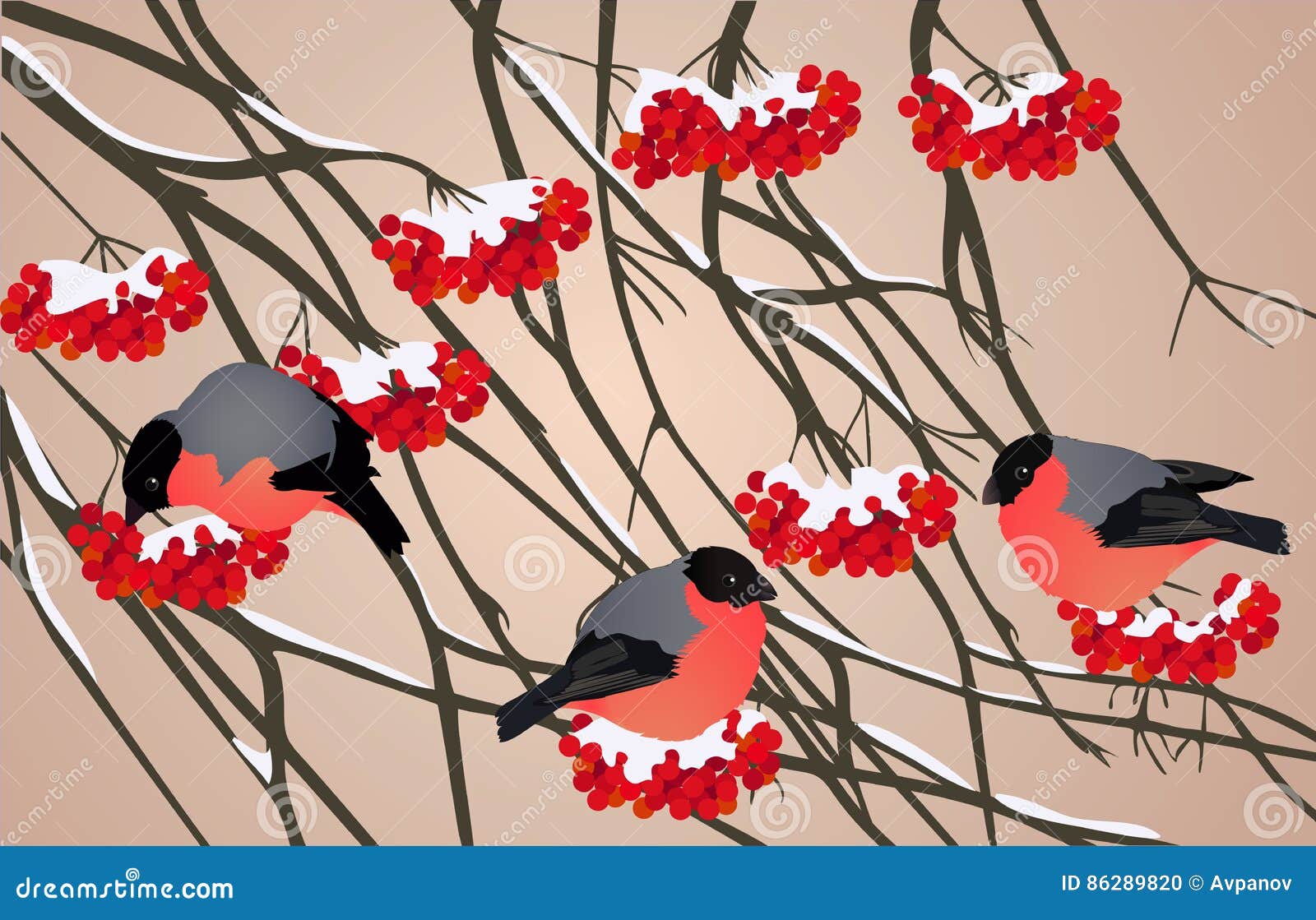 Winter red birds stock vector. Illustration of rowan - 86289820