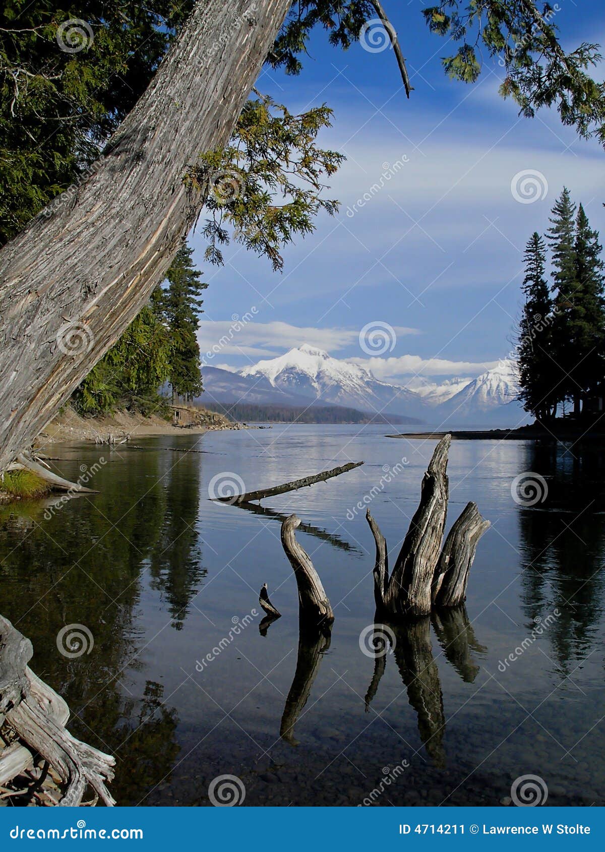 Winter Reflection stock image. Image of secluded, forest - 4714211