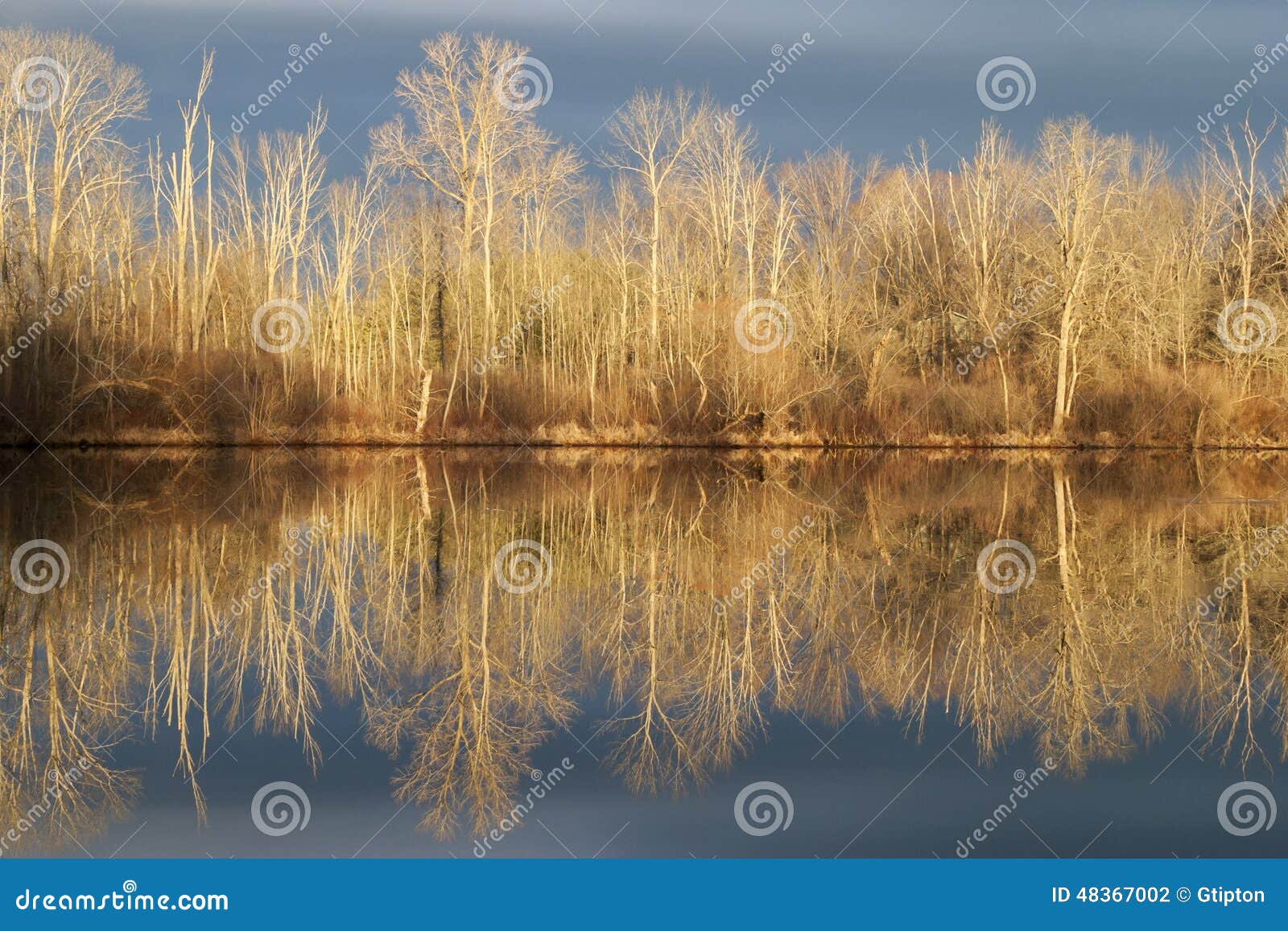 Winter Reflection stock photo. Image of water, reflecting - 48367002