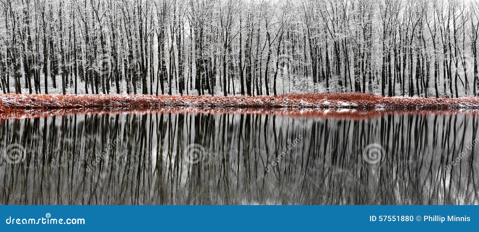 Winter Reflection Scene stock photo. Image of scenery - 57551880