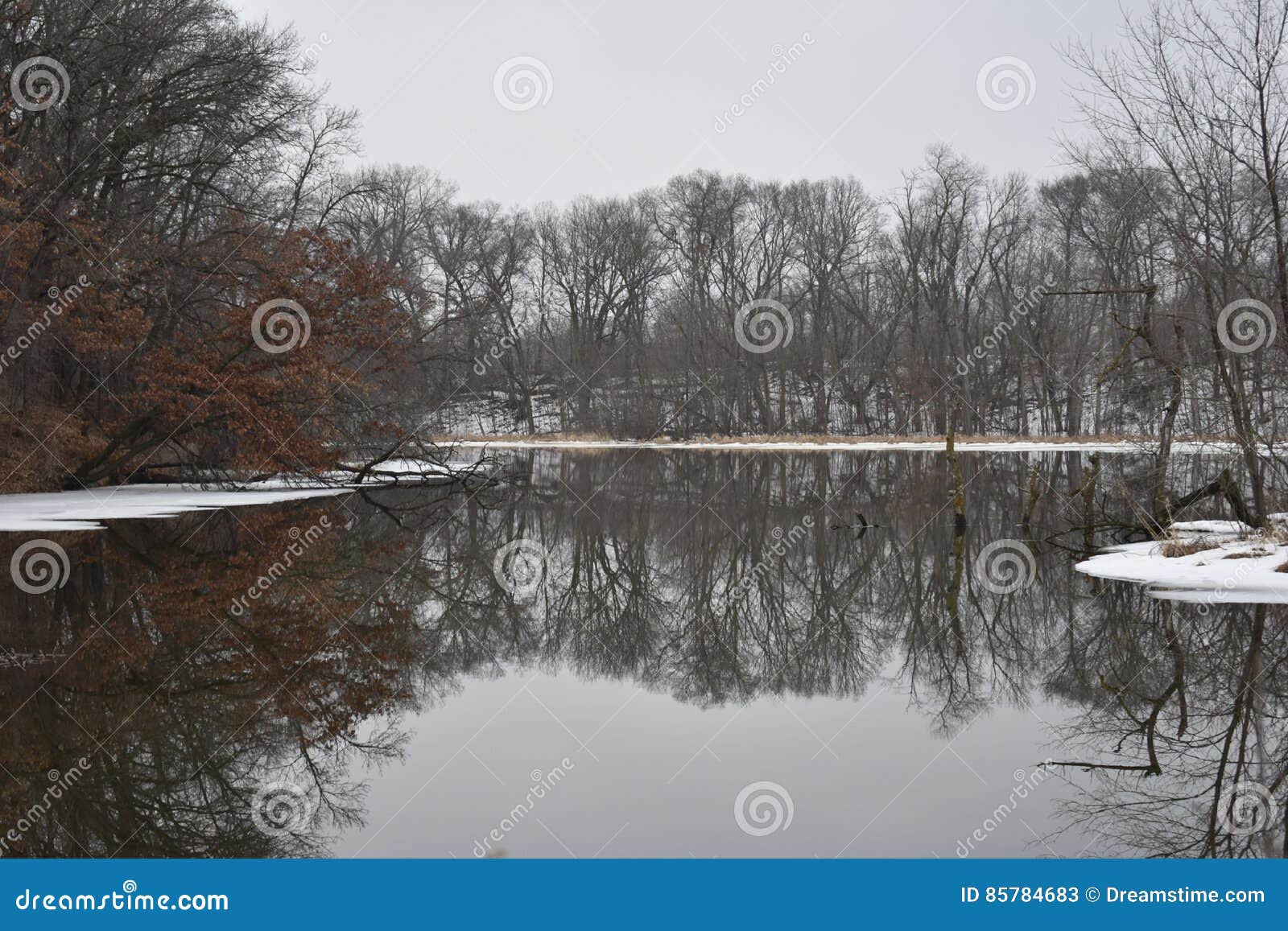 Winter Reflection stock image. Image of lake, snow, cold - 85784683