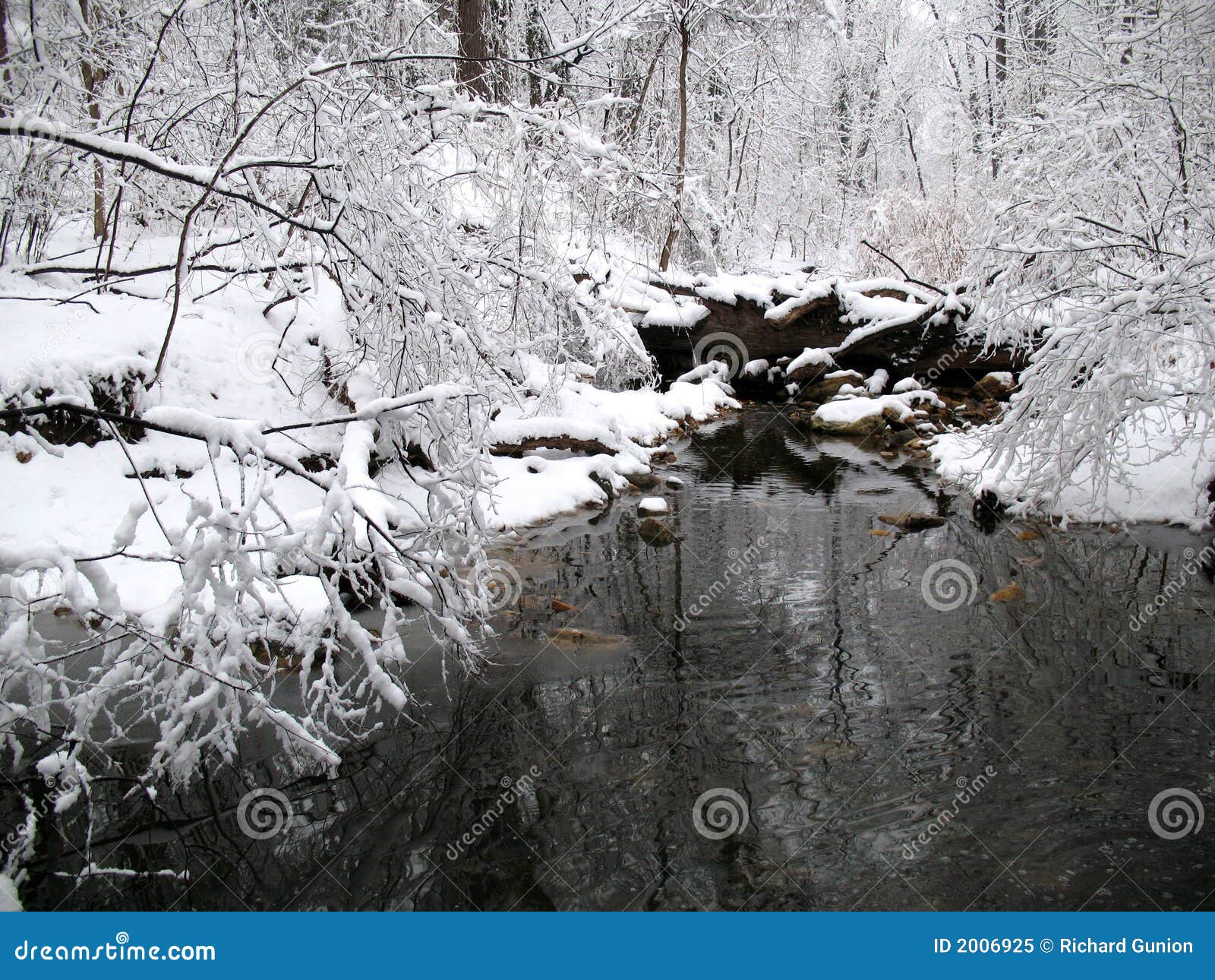 Winter Reflections stock image. Image of nature, creek - 2006925