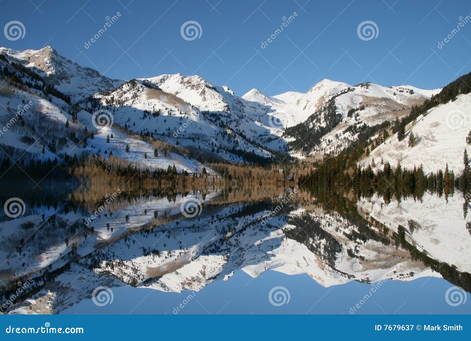WInter Reflections stock image. Image of snow, beauty - 7679637