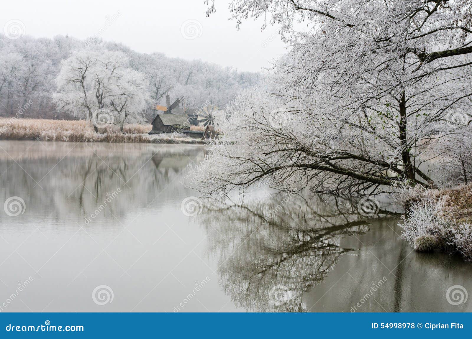 Winter reflections stock photo. Image of forest, frozen - 54998978