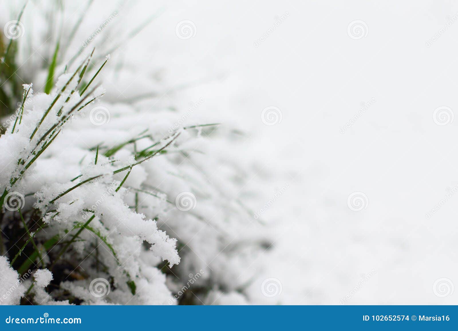 1,208 Winter Return Stock Photos - Free & Royalty-Free Stock Photos ...