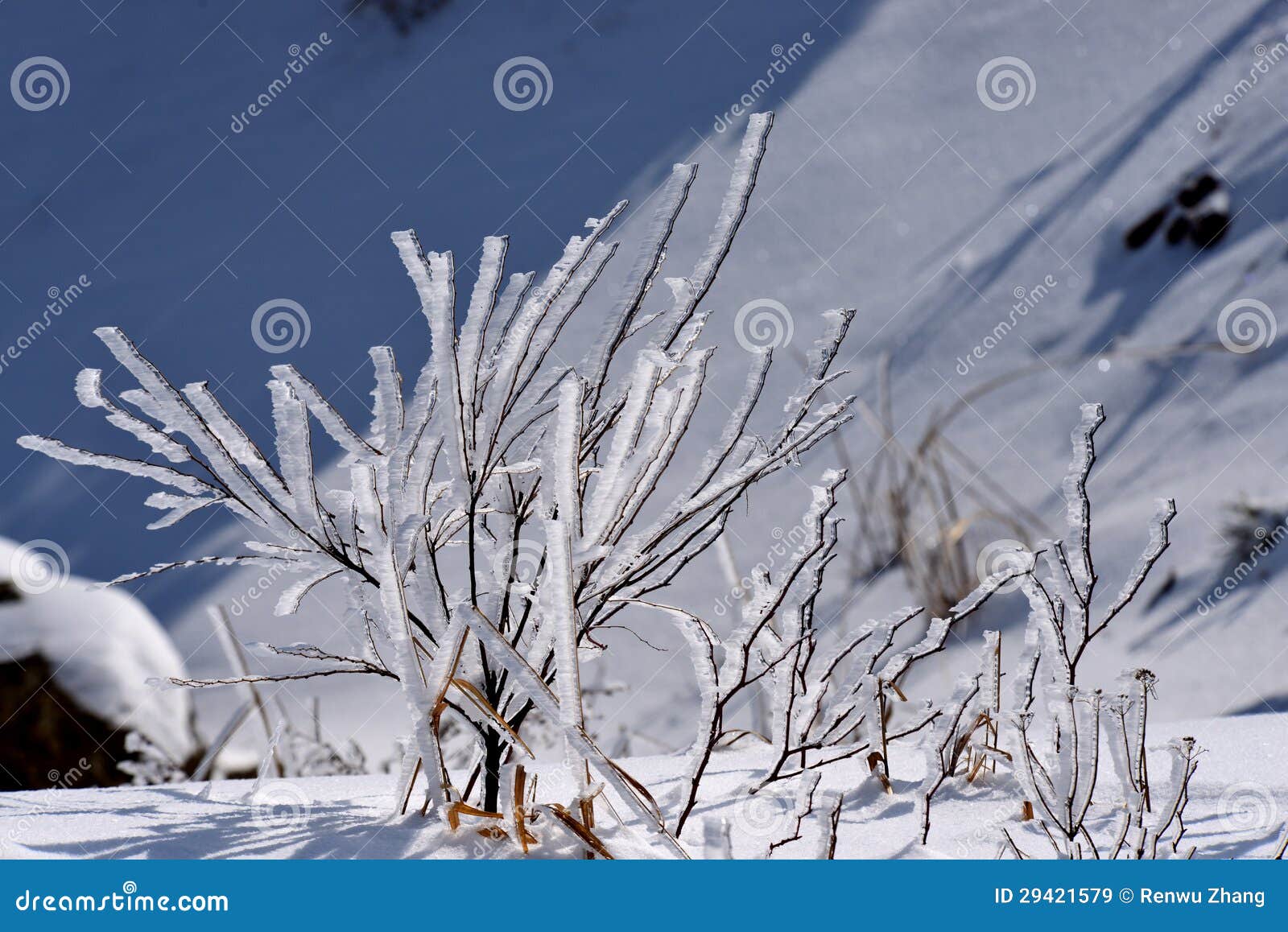 Winter rime stock image. Image of snow, mountian, newfallen - 29421579