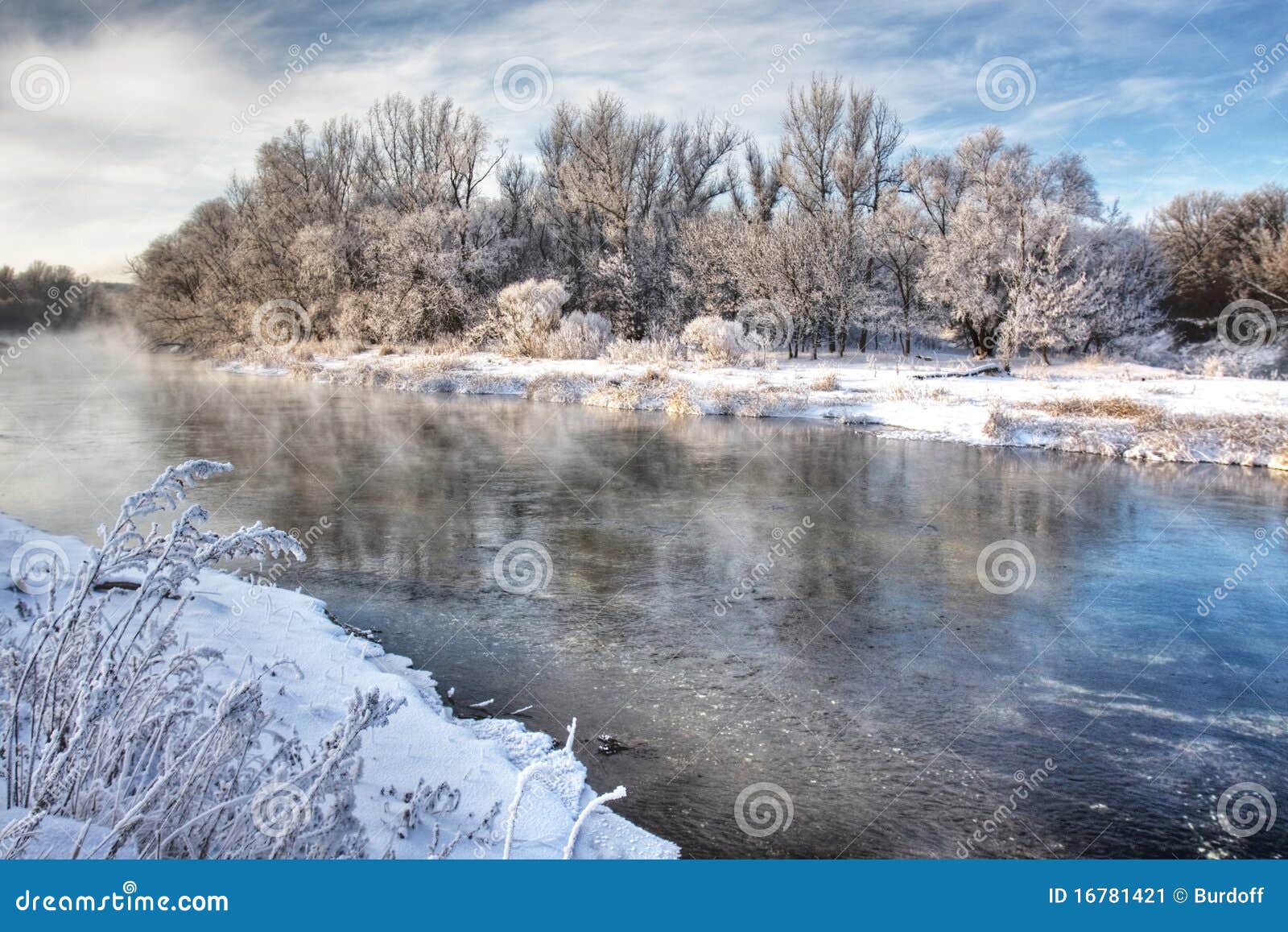 Winter river stock image. Image of tree, forest, pine - 16781421