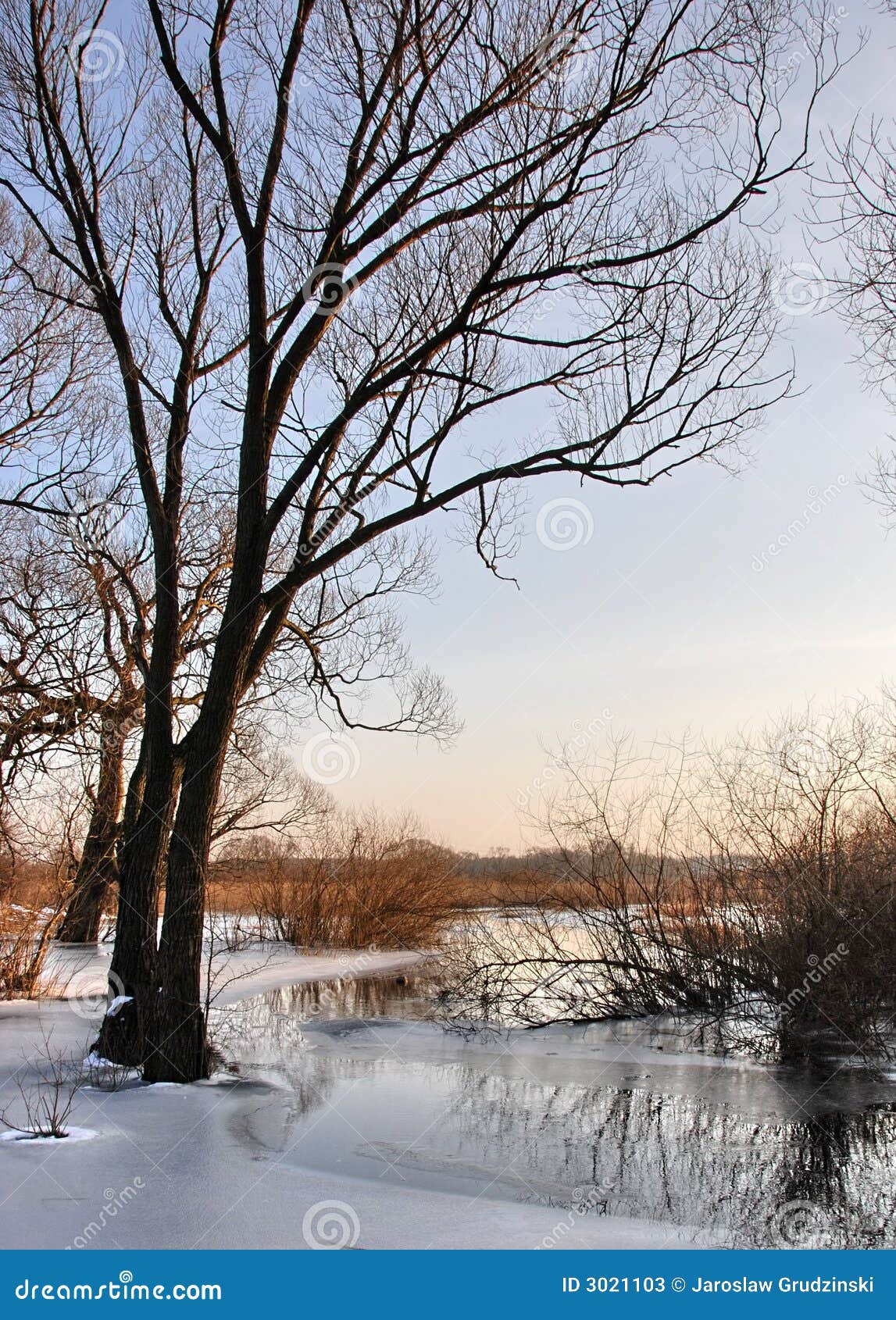 Winter by the river stock image. Image of landscape, river - 3021103