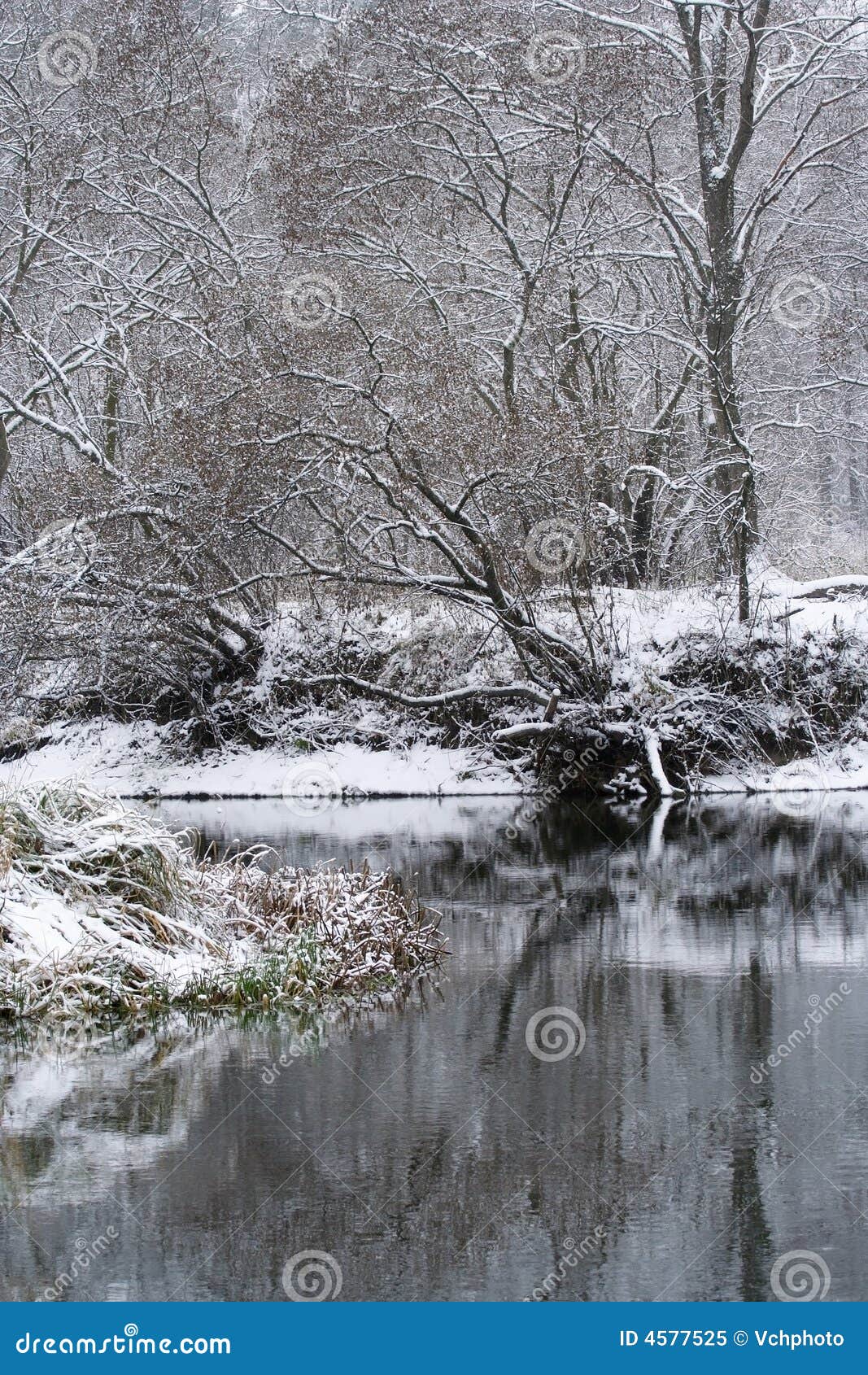 Winter river stock image. Image of black, park, white - 4577525