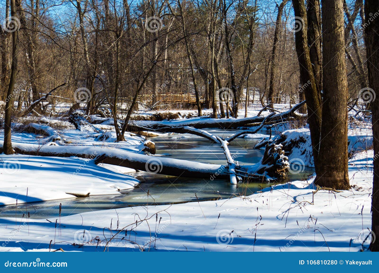 Winter River in a Forest in Windsor, Connecticut Stock Photo - Image of ...