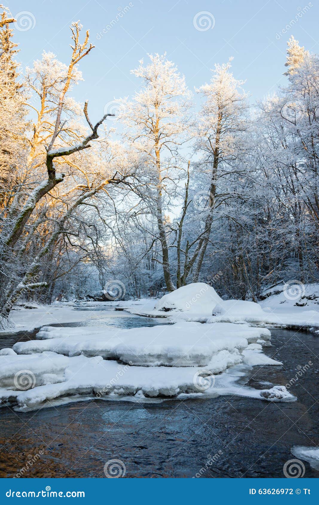 Winter river i a forest stock photo. Image of creek, branches - 63626972