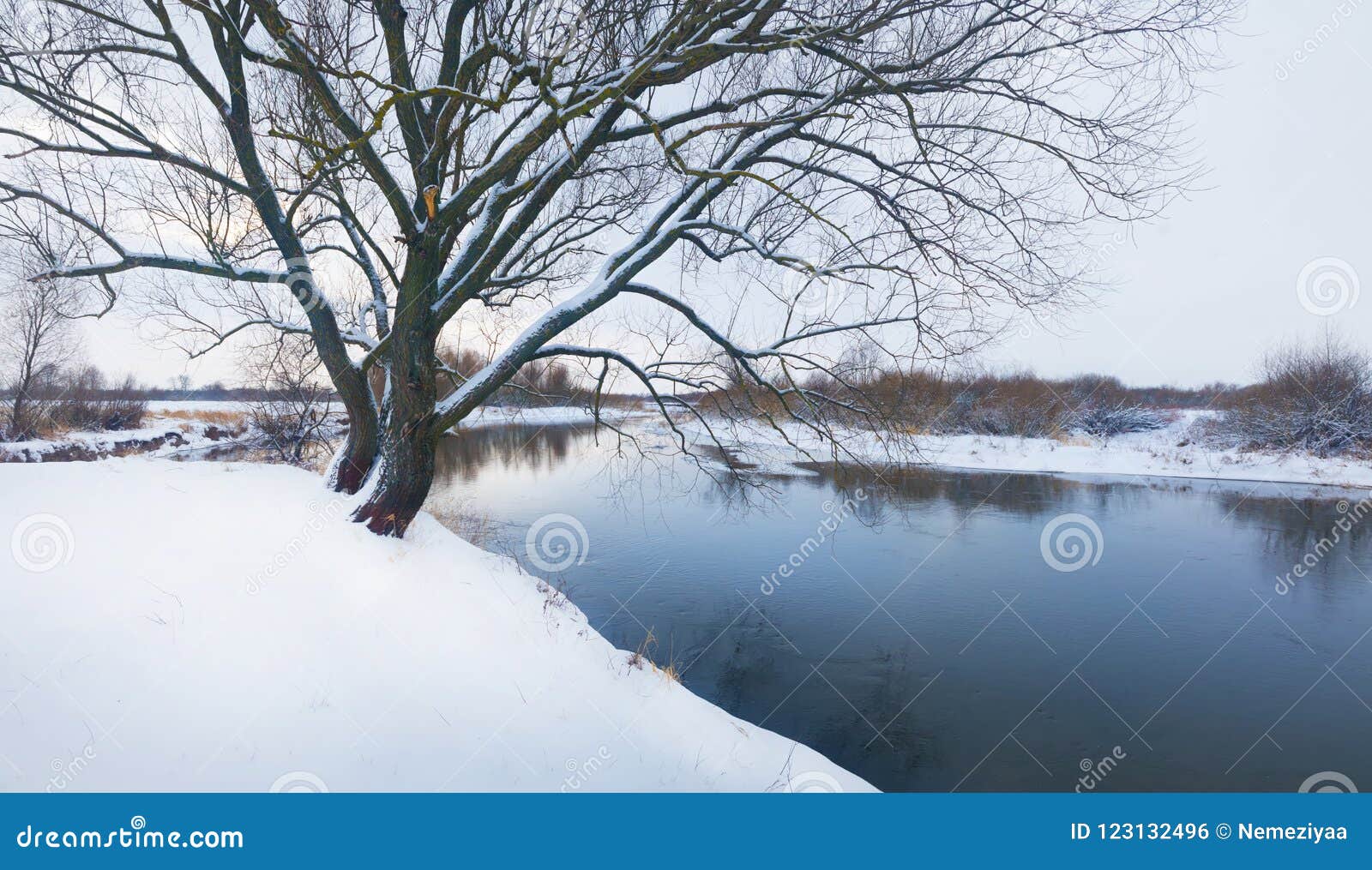 Winter river landscape stock photo. Image of cold, park - 123132496