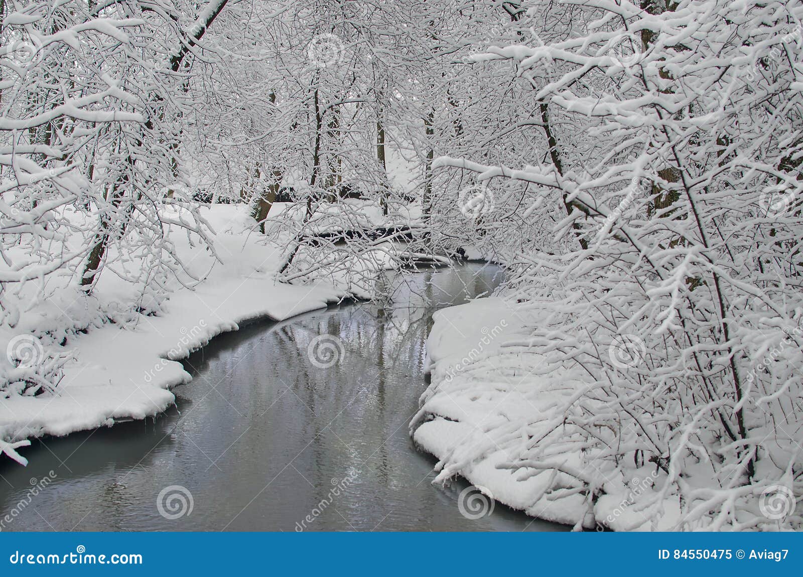 Winter River Landscape with Snow Covered Trees Stock Image - Image of ...
